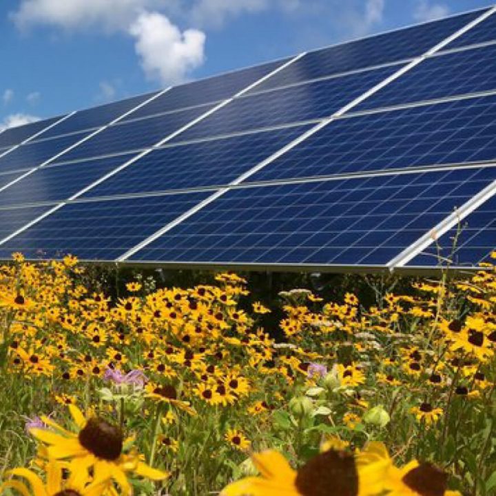 Shesha Solar - Affordable Solar Energy Solutions