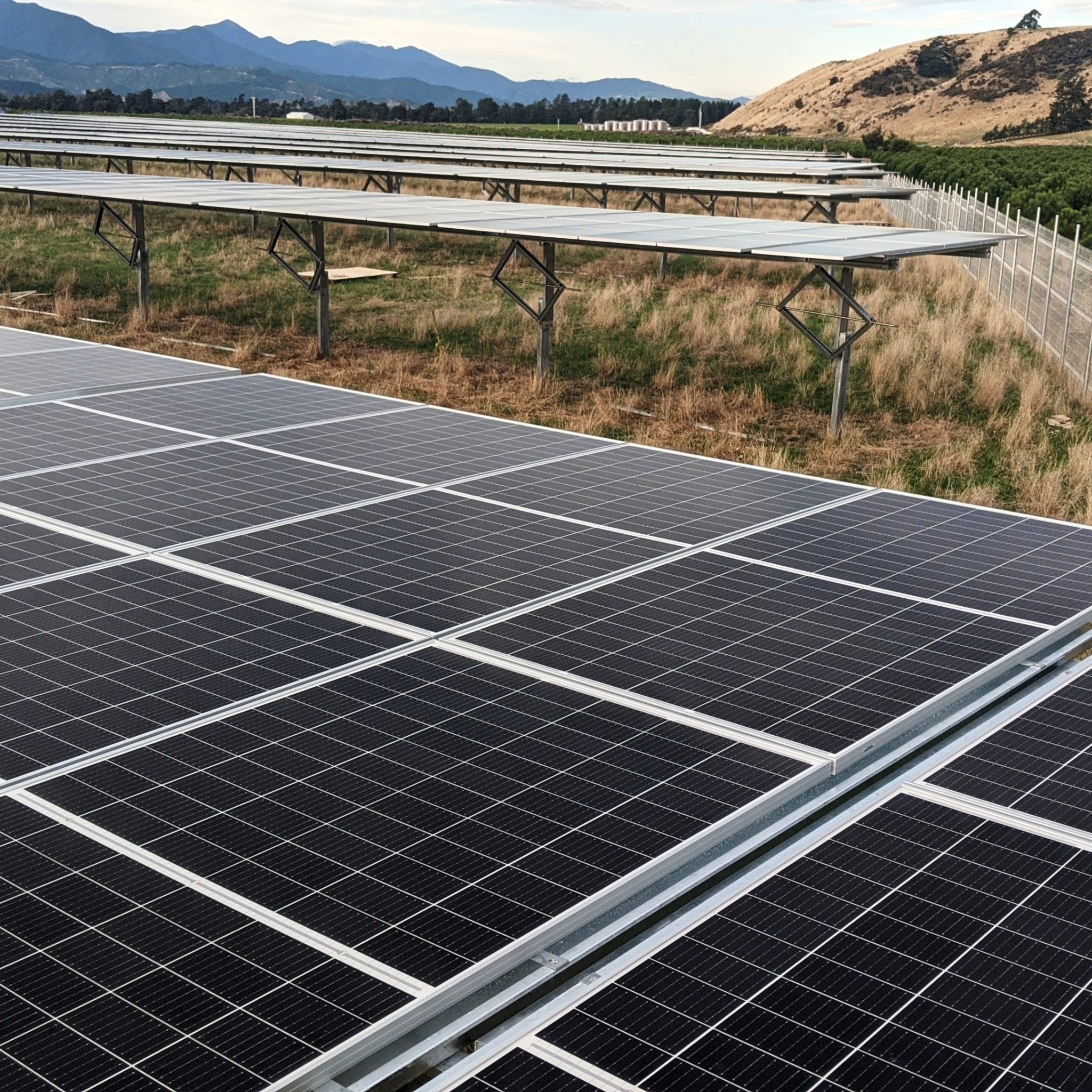 Shesha Solar - Affordable Solar Energy Solutions